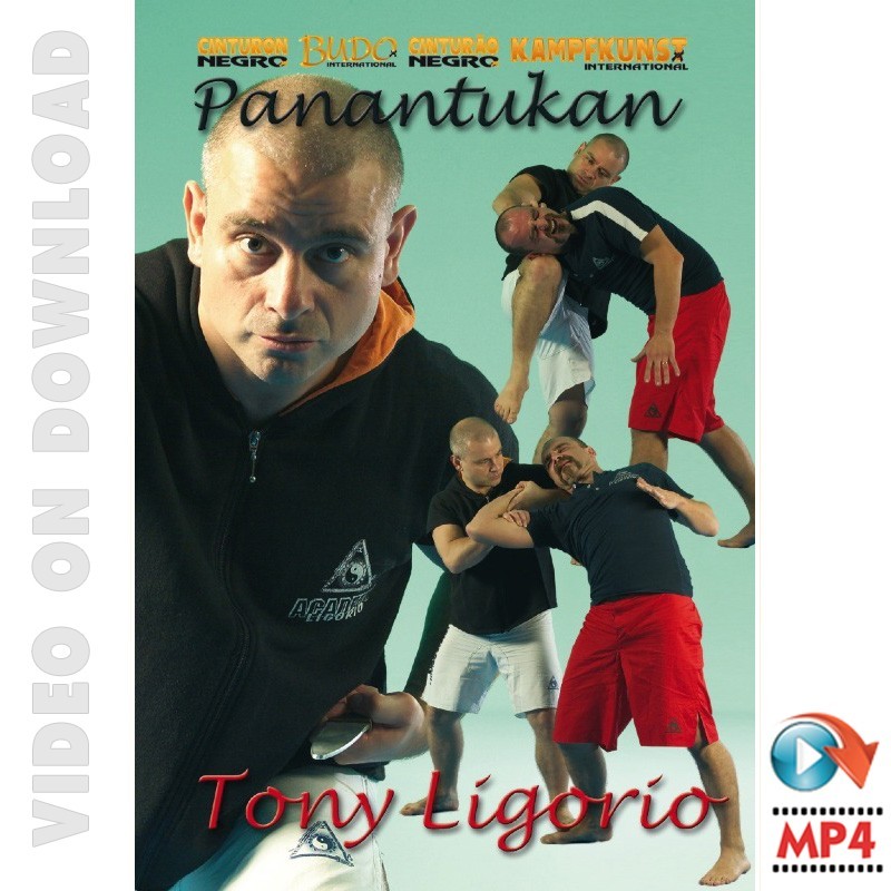 Download video Filipino Panantukan. Martial Arts Styles catalog